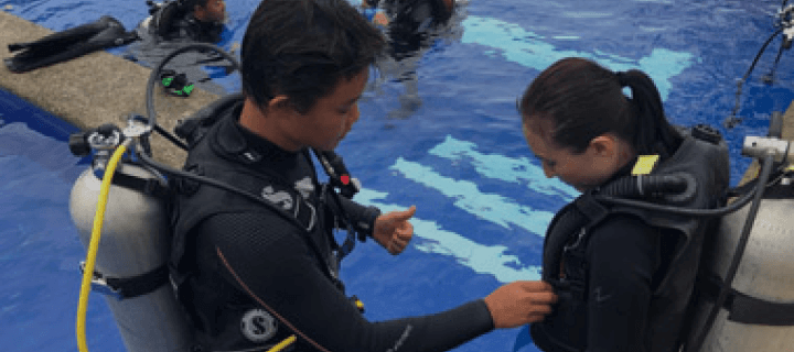 TEAM MAX DIVE RESORT